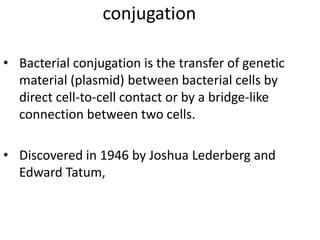 Recombination in bacteria | PPTX