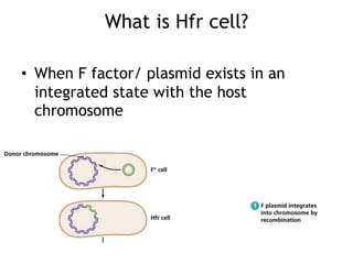 Recombination in bacteria | PPTX