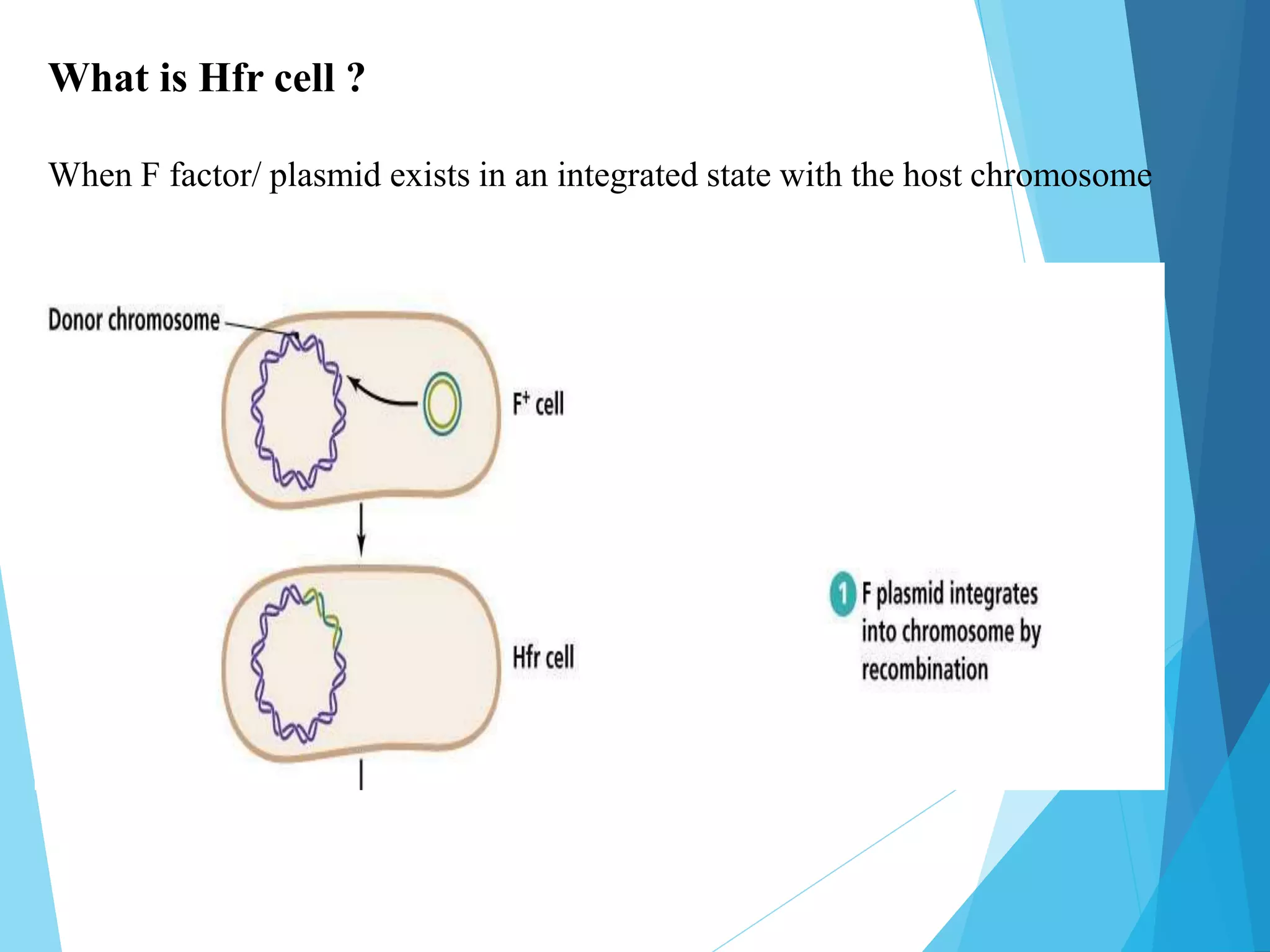 Recombination in bacteria | PPTX