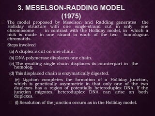 Recombination Models.pdf