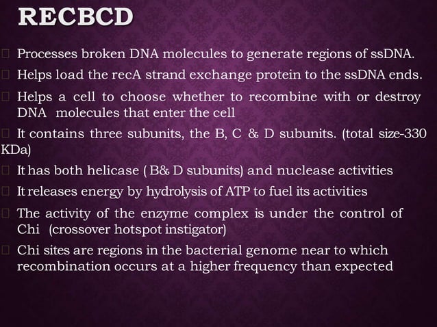 Recombination Models.pdf | Genetics | Science