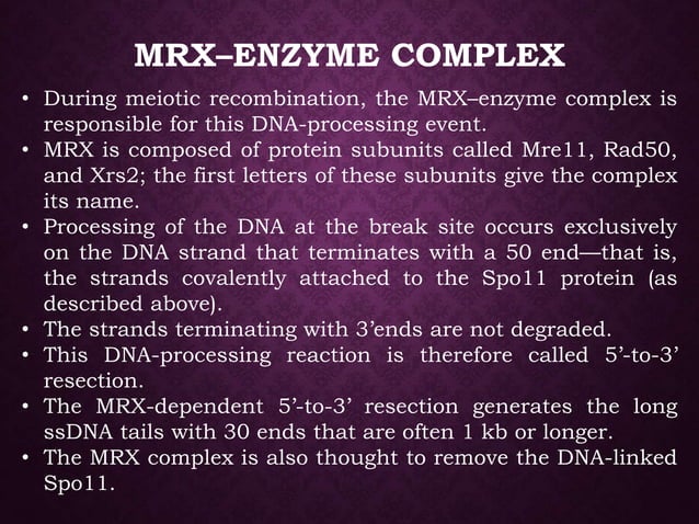 Recombination Models.pdf | Genetics | Science