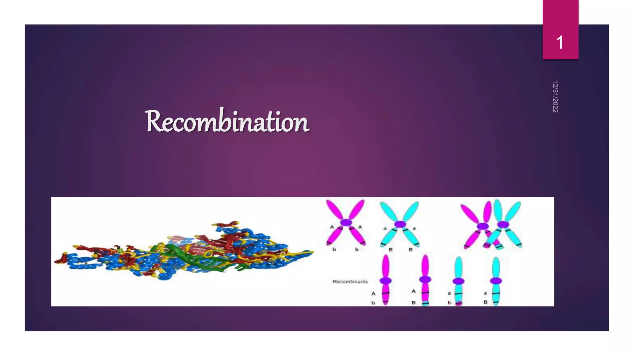 RECOMBINATION MOLECULAR BIOLOGY PPT UPDATED new.pptx