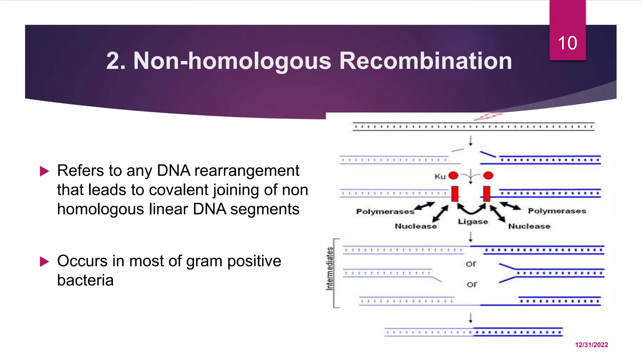 RECOMBINATION MOLECULAR BIOLOGY PPT UPDATED new.pptx