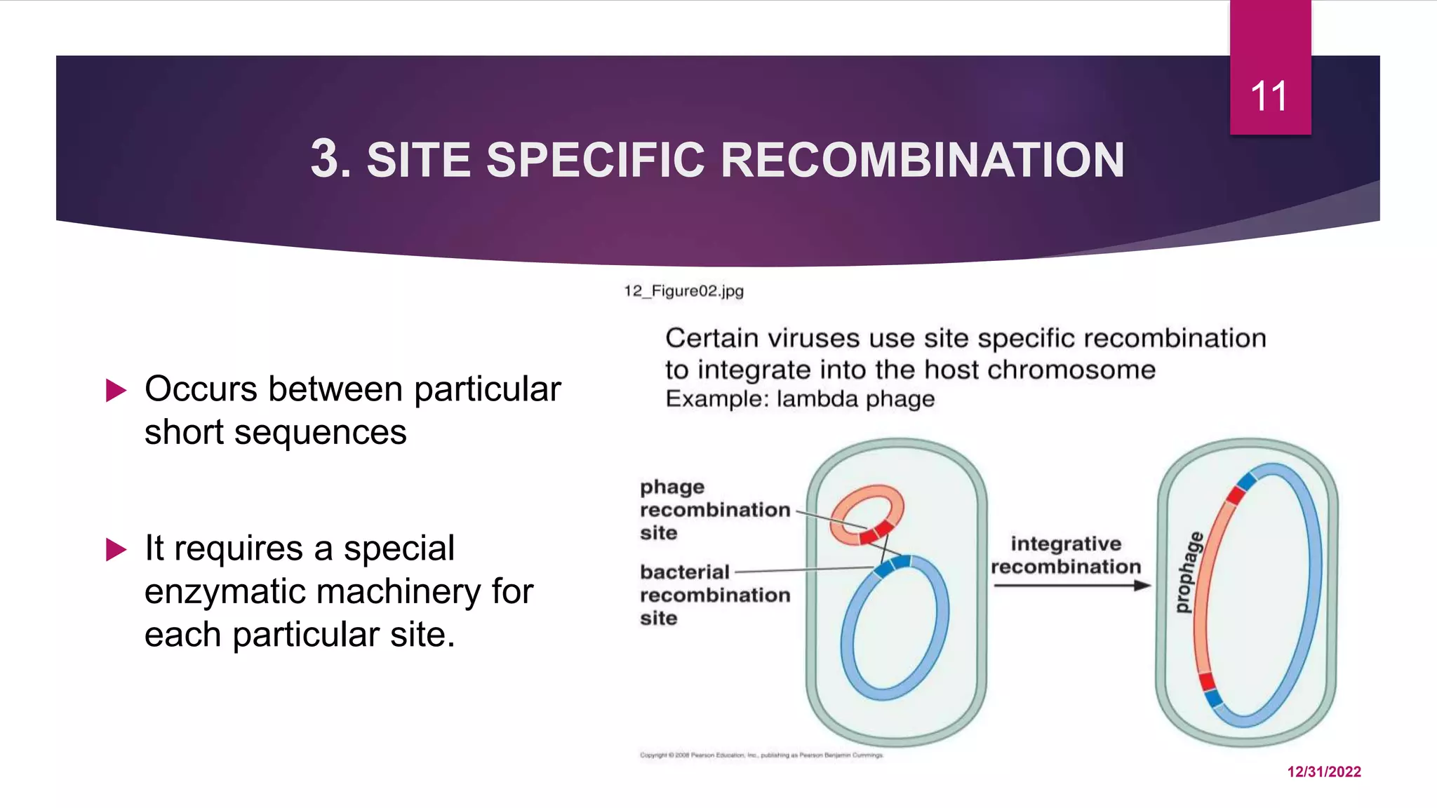 RECOMBINATION MOLECULAR BIOLOGY PPT UPDATED new.pptx