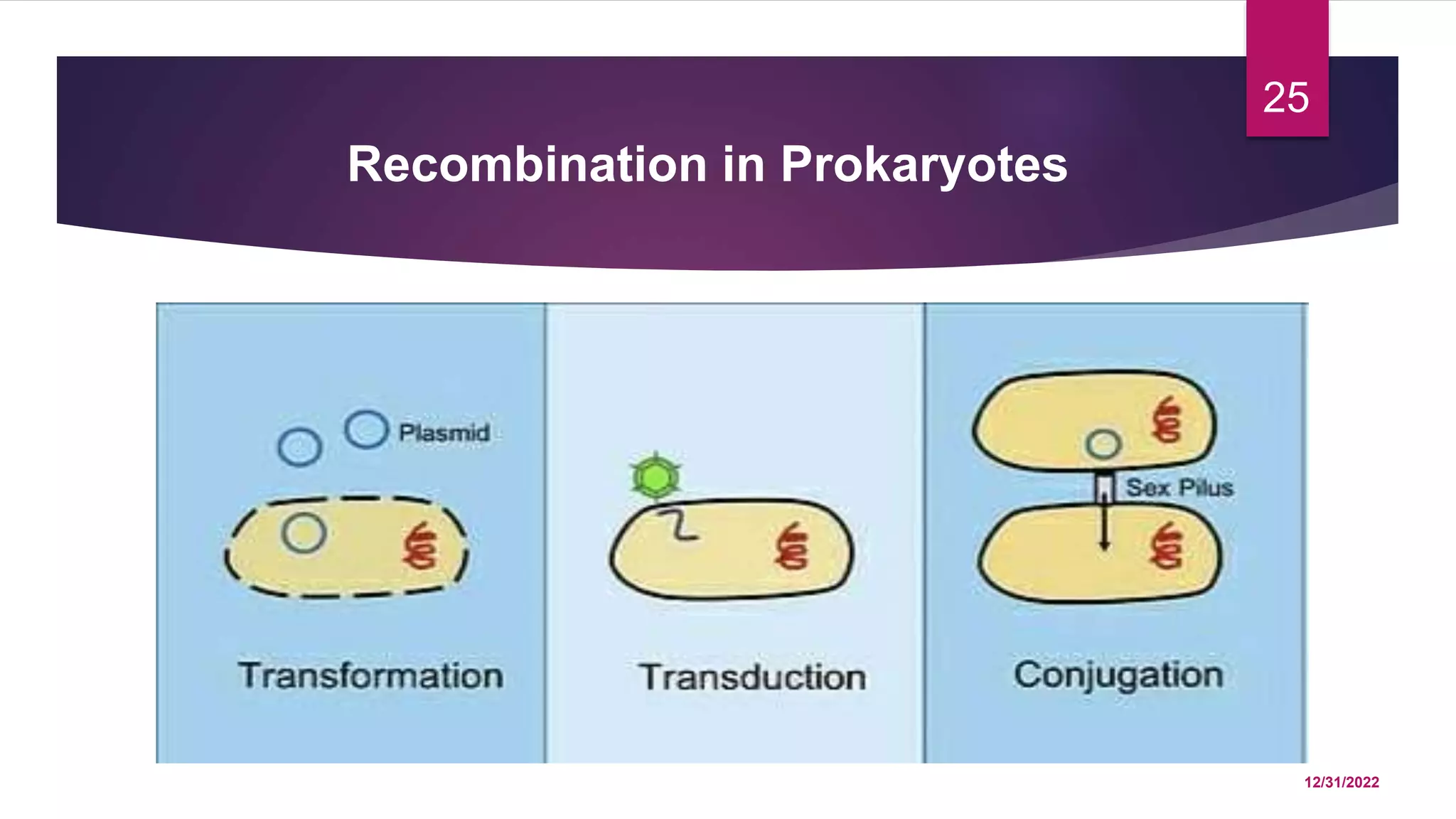 RECOMBINATION MOLECULAR BIOLOGY PPT UPDATED new.pptx | Chemistry | Science