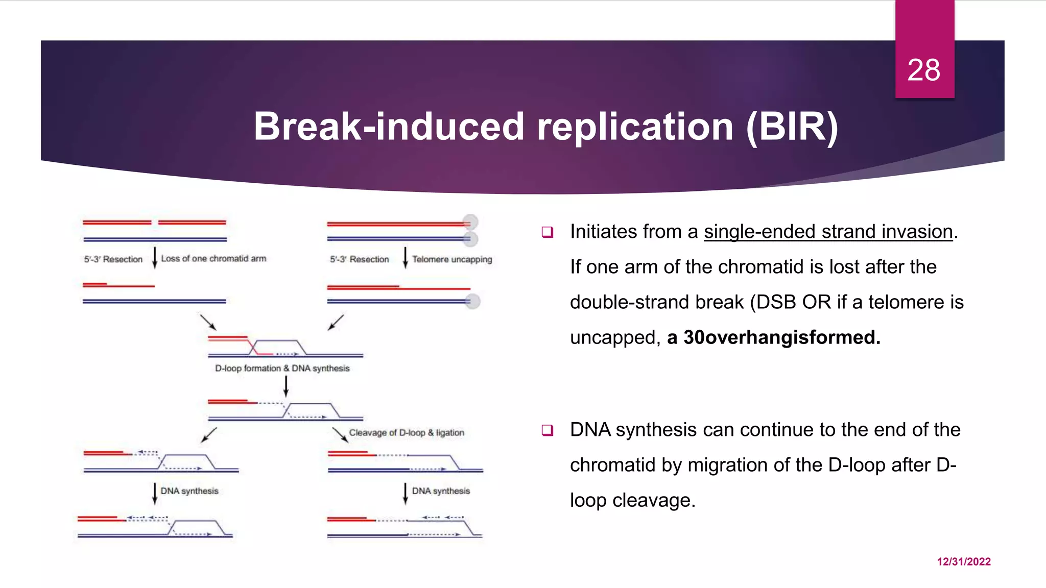 RECOMBINATION MOLECULAR BIOLOGY PPT UPDATED new.pptx