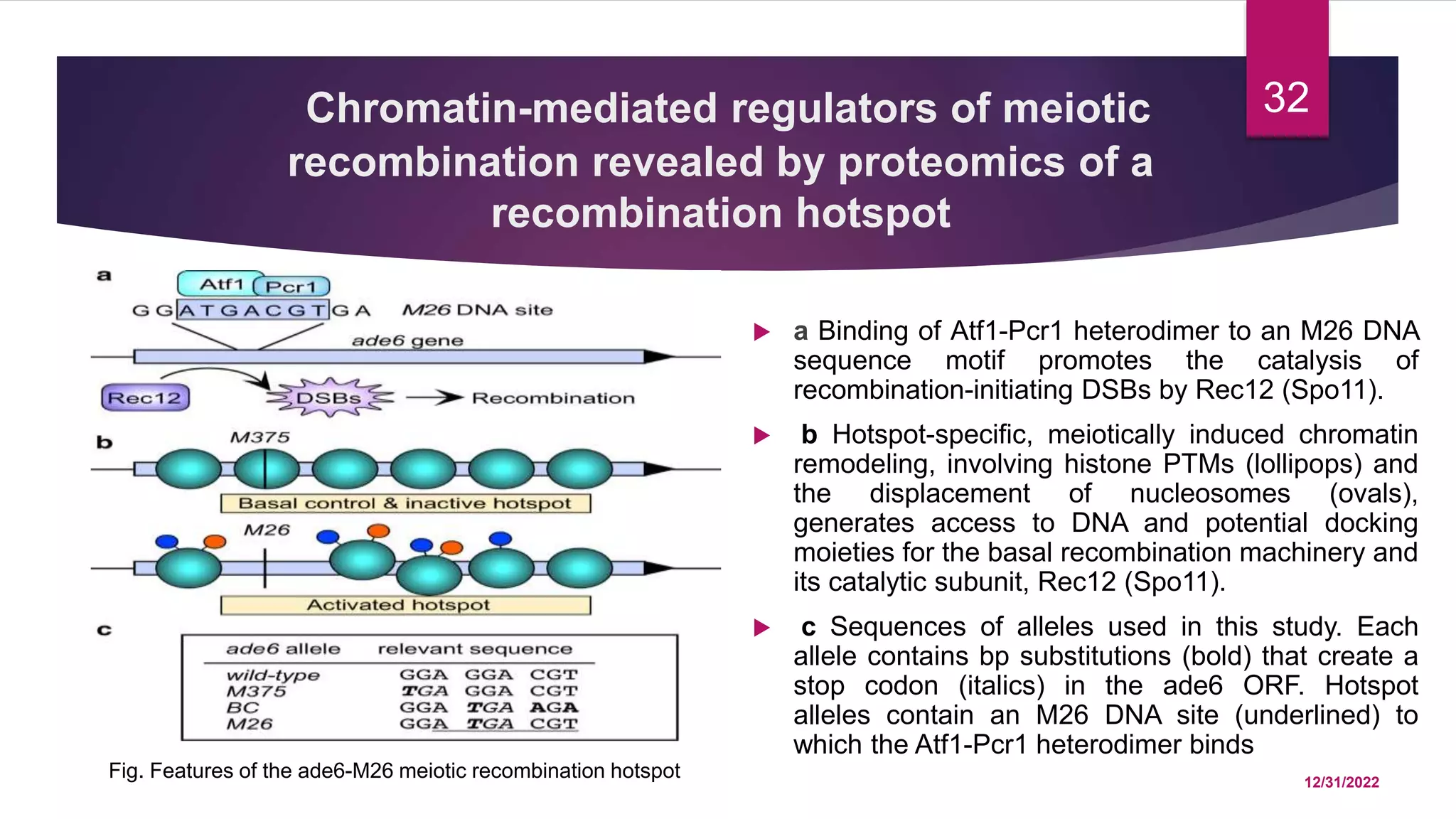 RECOMBINATION MOLECULAR BIOLOGY PPT UPDATED new.pptx