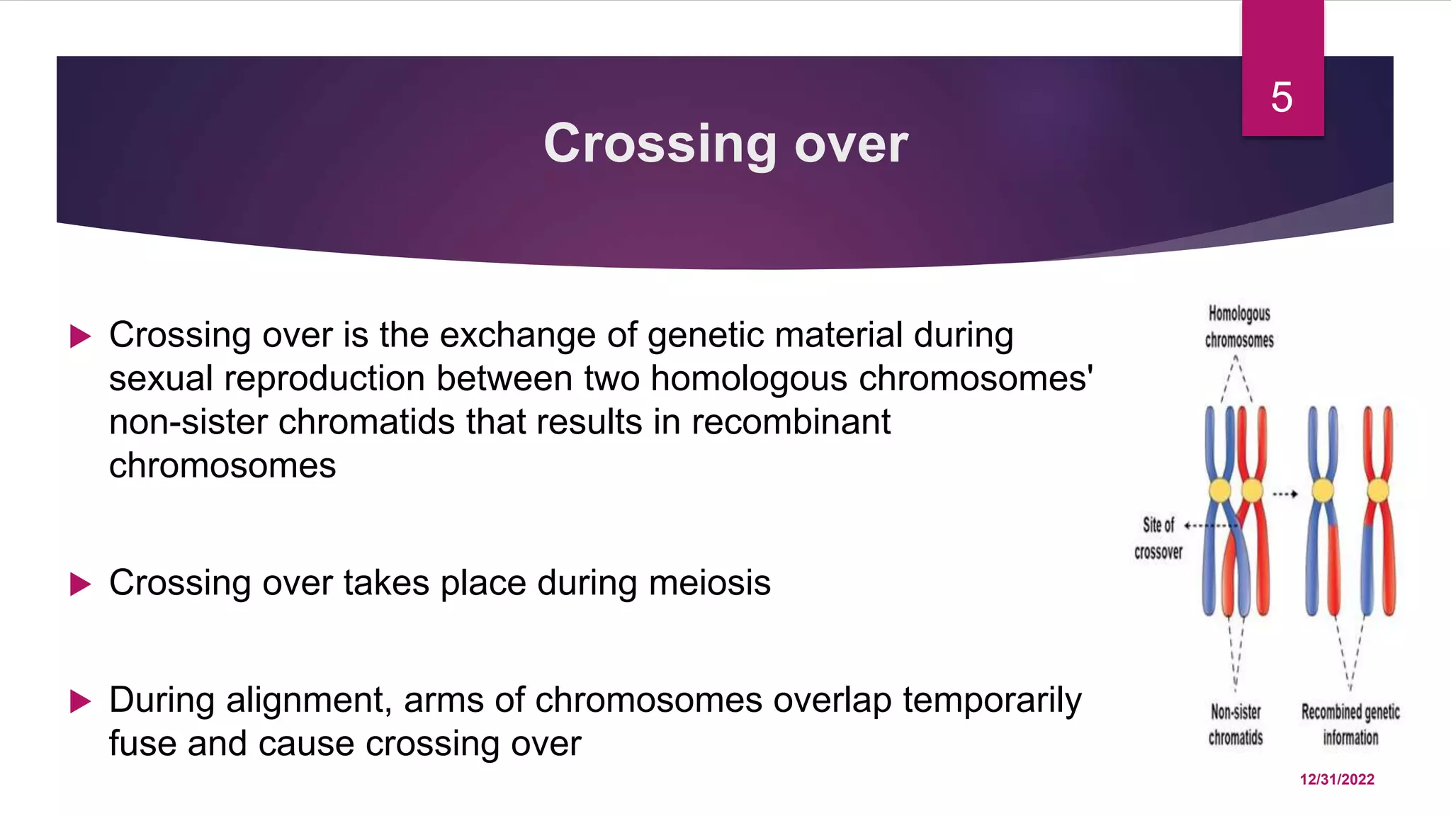 RECOMBINATION MOLECULAR BIOLOGY PPT UPDATED new.pptx