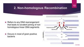 RECOMBINATION MOLECULAR BIOLOGY PPT UPDATED new.pptx