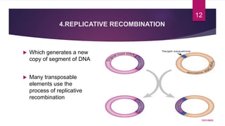 RECOMBINATION MOLECULAR BIOLOGY PPT UPDATED new.pptx