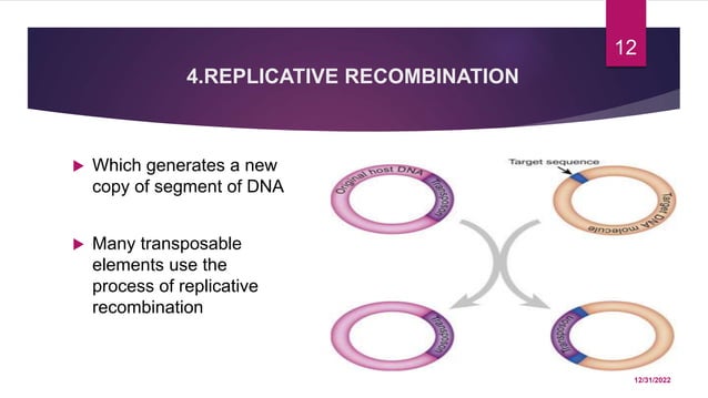 RECOMBINATION MOLECULAR BIOLOGY PPT UPDATED new.pptx | Chemistry | Science