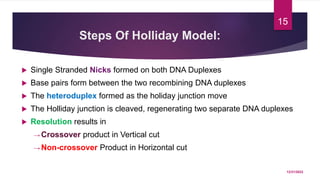 RECOMBINATION MOLECULAR BIOLOGY PPT UPDATED new.pptx