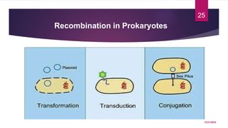 RECOMBINATION MOLECULAR BIOLOGY PPT UPDATED new.pptx
