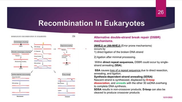RECOMBINATION MOLECULAR BIOLOGY PPT UPDATED new.pptx | Chemistry | Science