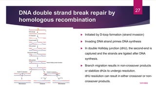 RECOMBINATION MOLECULAR BIOLOGY PPT UPDATED new.pptx