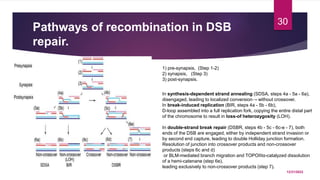RECOMBINATION MOLECULAR BIOLOGY PPT UPDATED new.pptx