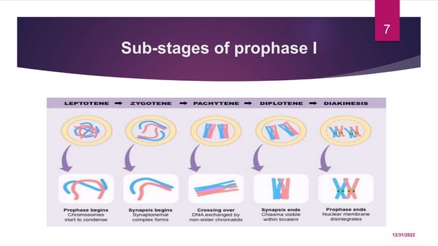 RECOMBINATION MOLECULAR BIOLOGY PPT UPDATED new.pptx | Chemistry | Science