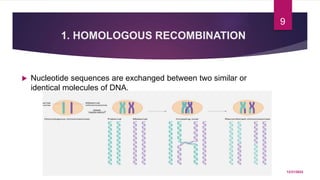 RECOMBINATION MOLECULAR BIOLOGY PPT UPDATED new.pptx