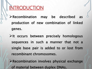 Recombination model and cytological basis of crossing over | PPTX