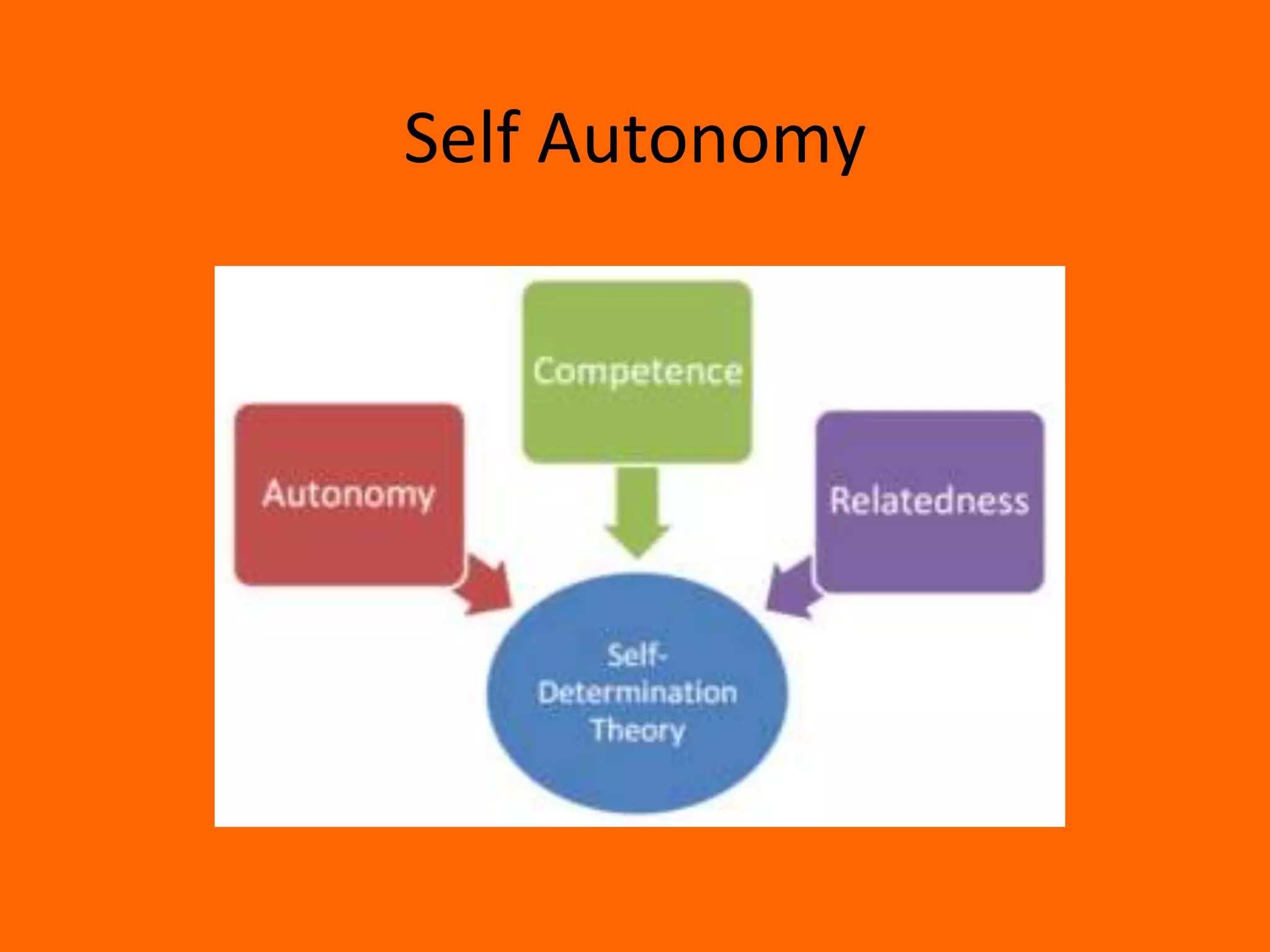 Recomendation for self learning autonomy | PPT