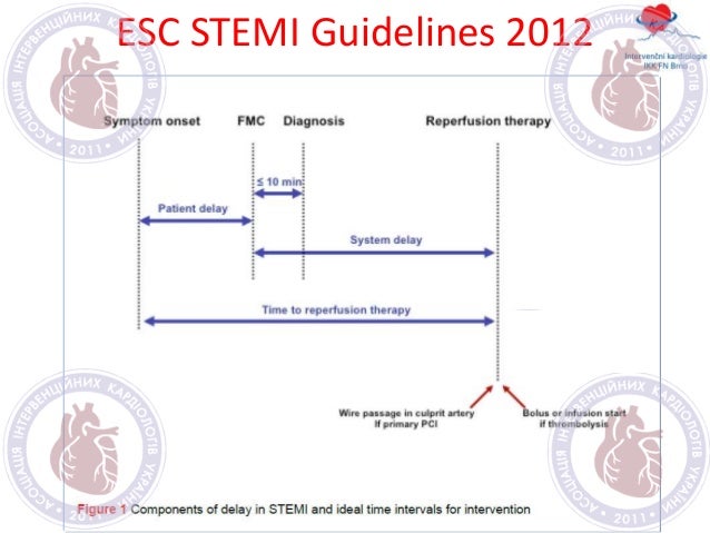 Recommendation for stemi treatment in 2013 and stent for life initiat…