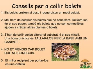 Reconeixent els fongs | PPT