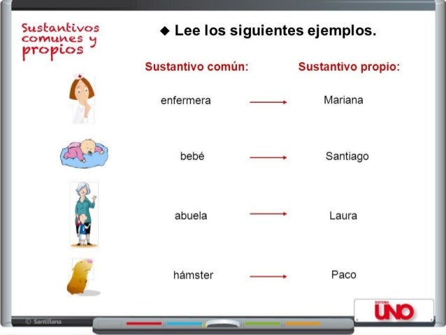 Reconocer los sustantivos, adjetivos y verbos