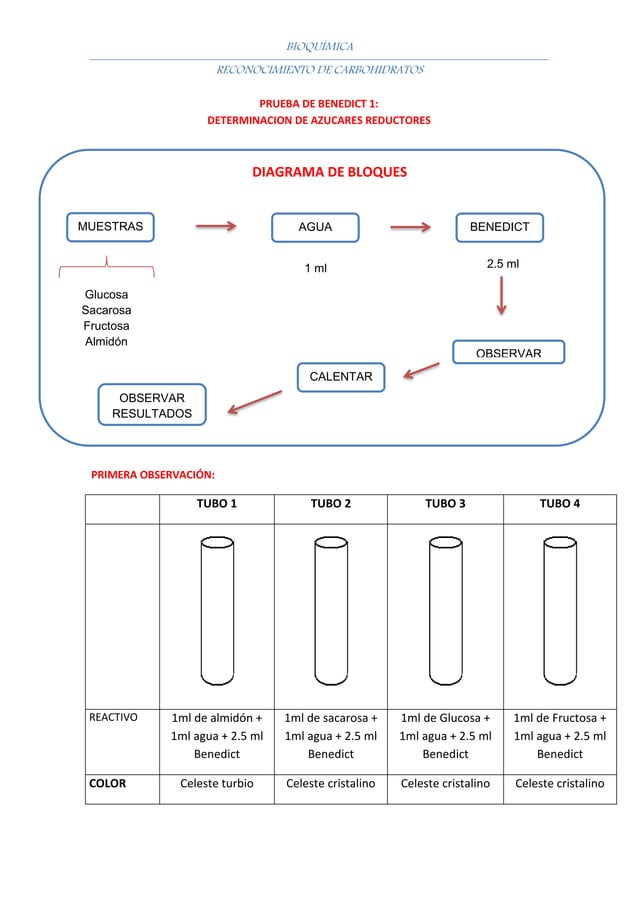 Reconocimiento de carbohidratos | PDF