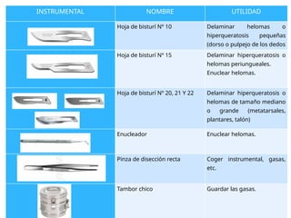 RECONOCIMIENTO DEL MATERIAL PODOLÓGICO (1).pptx