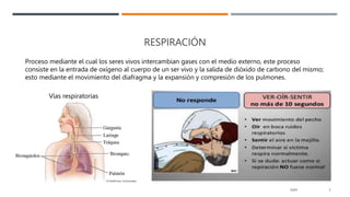 Reconocimiento de signos vitales y reanimación.pptx