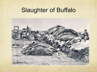 Reconstruction conflict with native american s | PPT