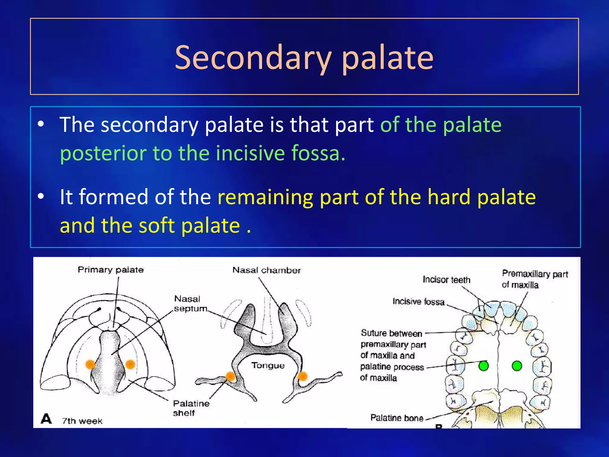 Reconstruction of cleft lip and palate defect | PPTX