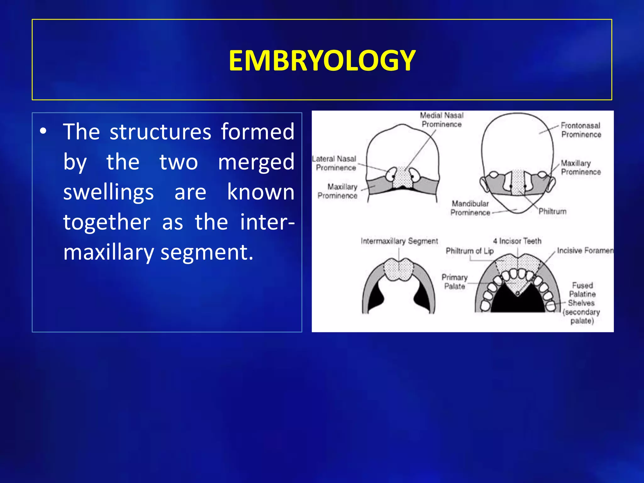 Reconstruction of cleft lip and palate defect | PPTX