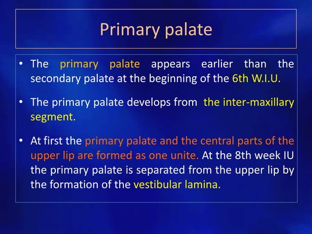 Reconstruction of cleft lip and palate defect | PPTX | Ear, Nose and Throat Conditions ...