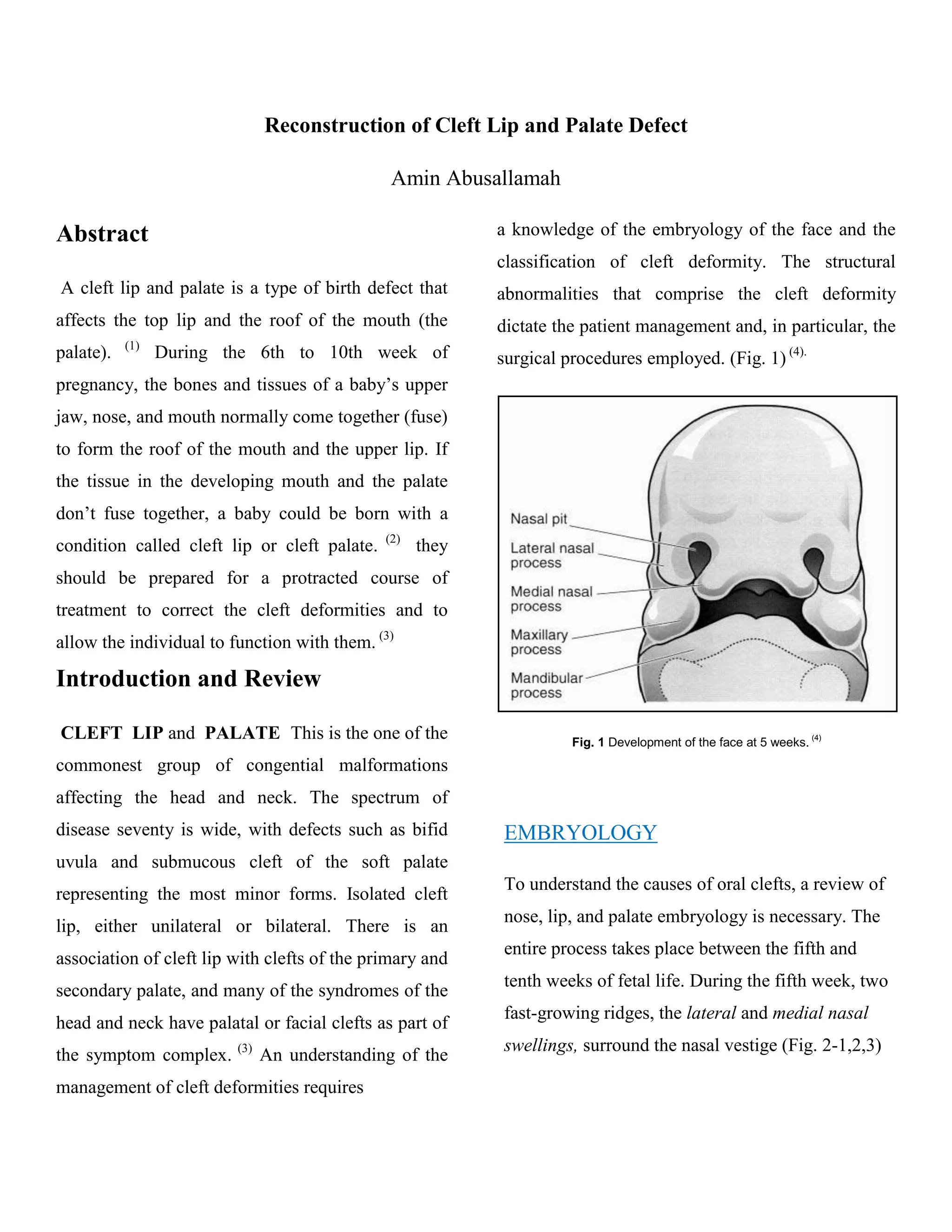 Article of Reconstruction of cleft lip and palate defect | PDF