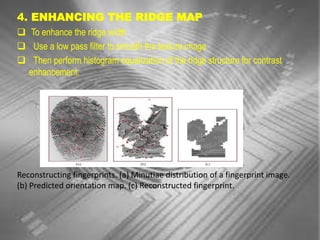 Reconstruction of fingerprints | PPT