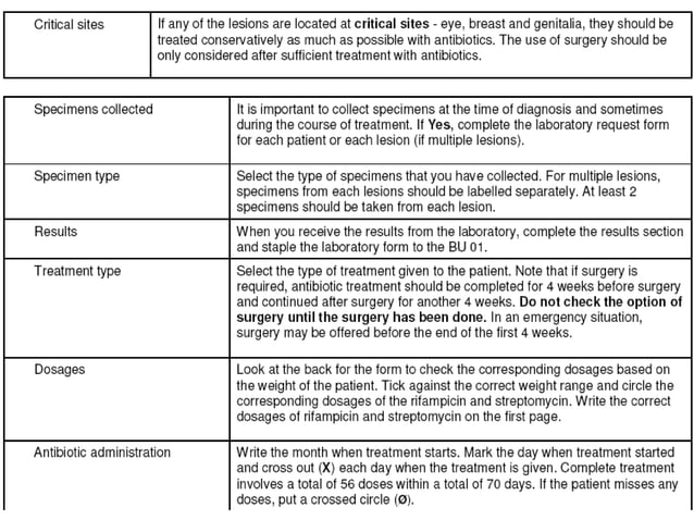 Recording and reporting Buruli Ulcer | PPT