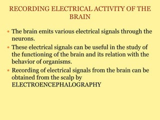 Recording brain activity | PPTX