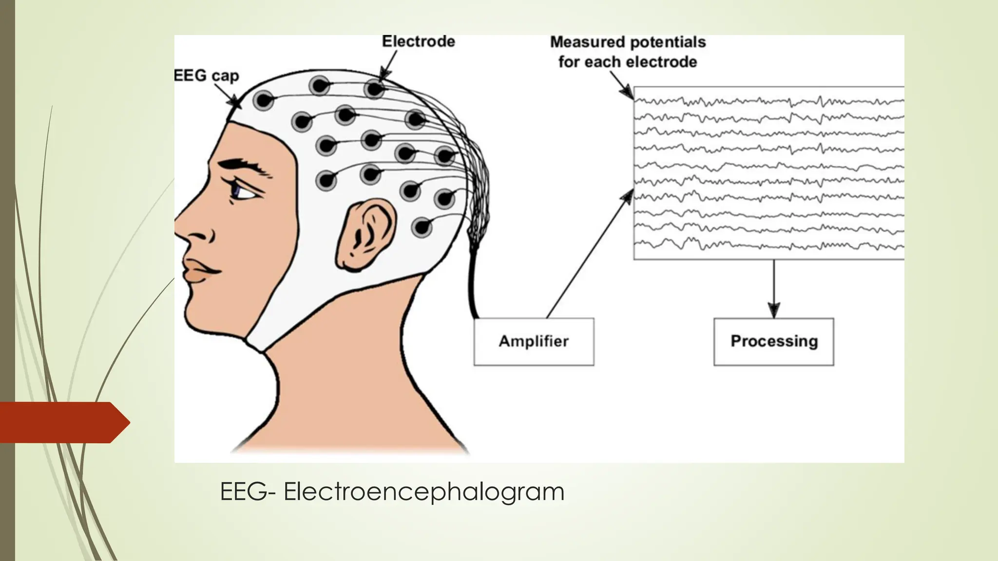 RECORDING BRAIN ACTIVITY.pdf