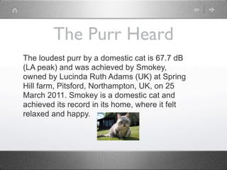 Guinness World Records | KEY | Sports