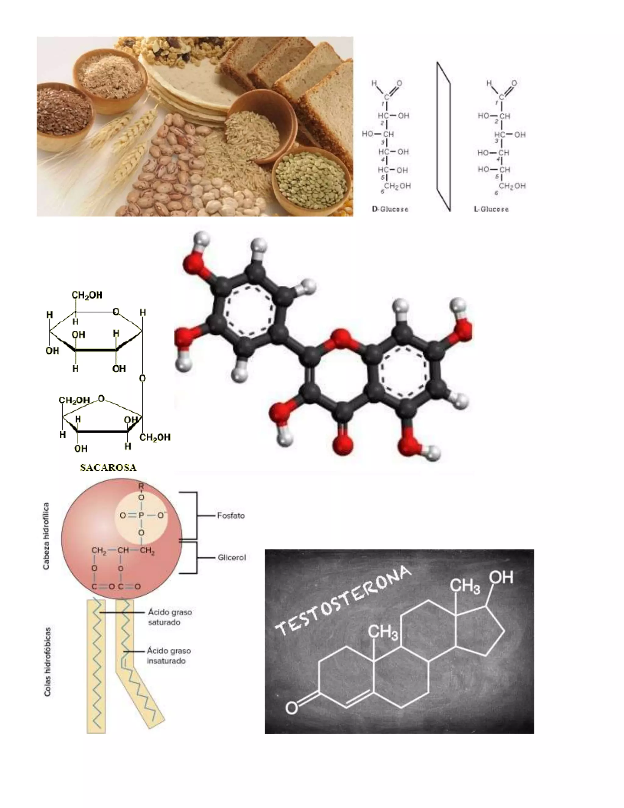 Recortes album biologia | DOCX | Biotech and Biomedical Industry ...