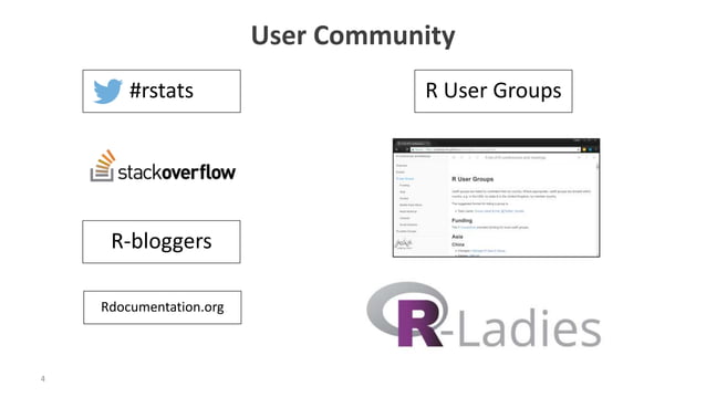 The R Ecosystem | PPTX
