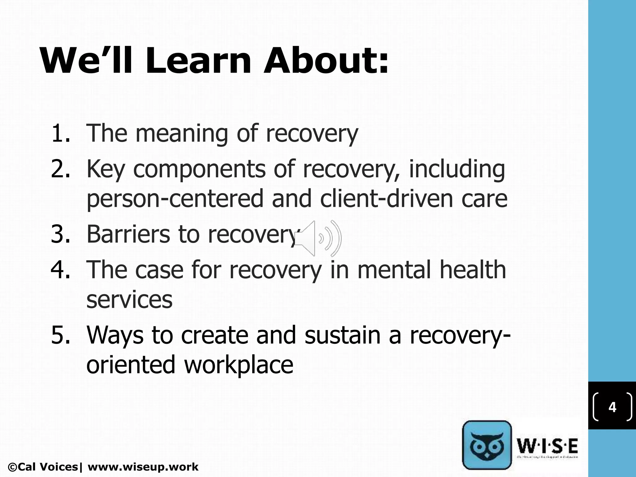WISE eLearning - Recovery 101 | PPTX
