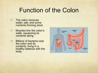 Presentation | PPTX | Medical Health