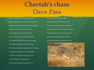 Animal Poems by Teya Ballenger | PPTX | Zoos & Aquariums | Attractions