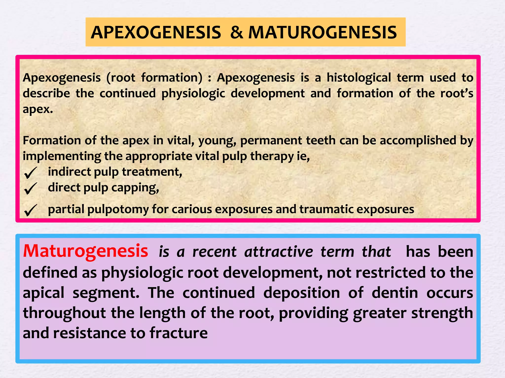 pulp therapy in young permanent tooth | PPTX