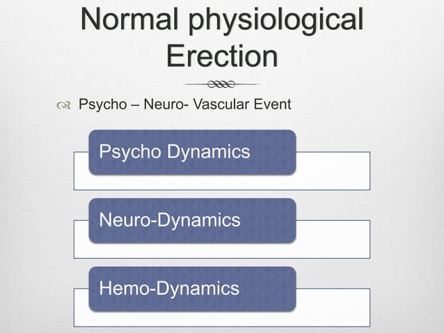 Anatomy and physiology of Erection & pathophysiology of erectile ...