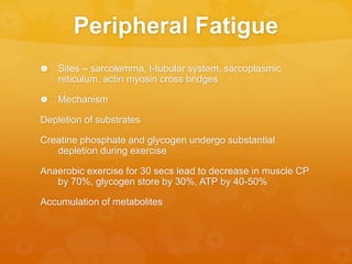 Fatigue | PPTX