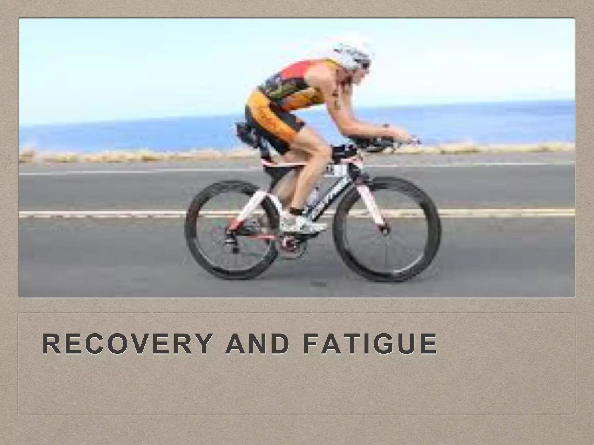 Recovery and fatigue | PPTX